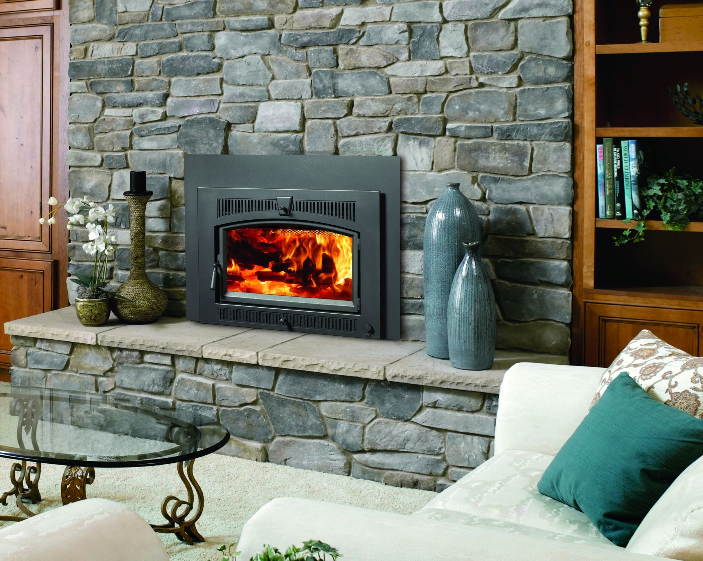 Fireplace Inserts | Georgetown Fireplace and Patio